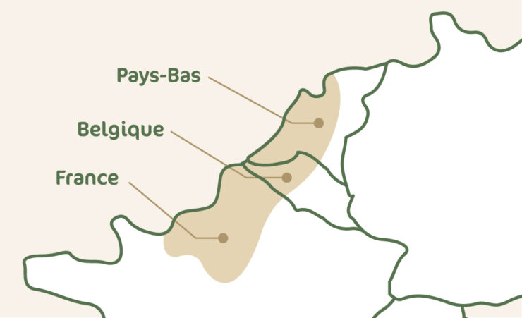 Tout savoir sur le lin - Depestele - Premier producteur privé de lin en ...